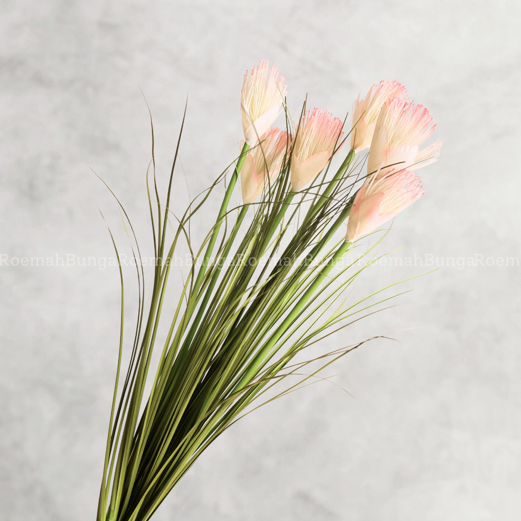 Jual 2 Cabang Protea Grass Rumput Ilalang / Real Touch Artificial ...