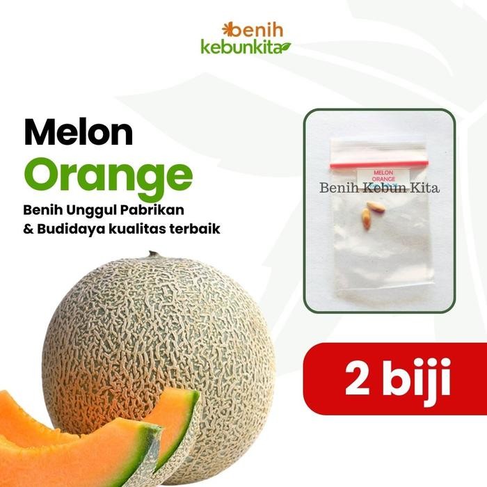 Jual Biji Benih Bibit Tanaman Melon Orange Repack Okasa Bintang Asia ...