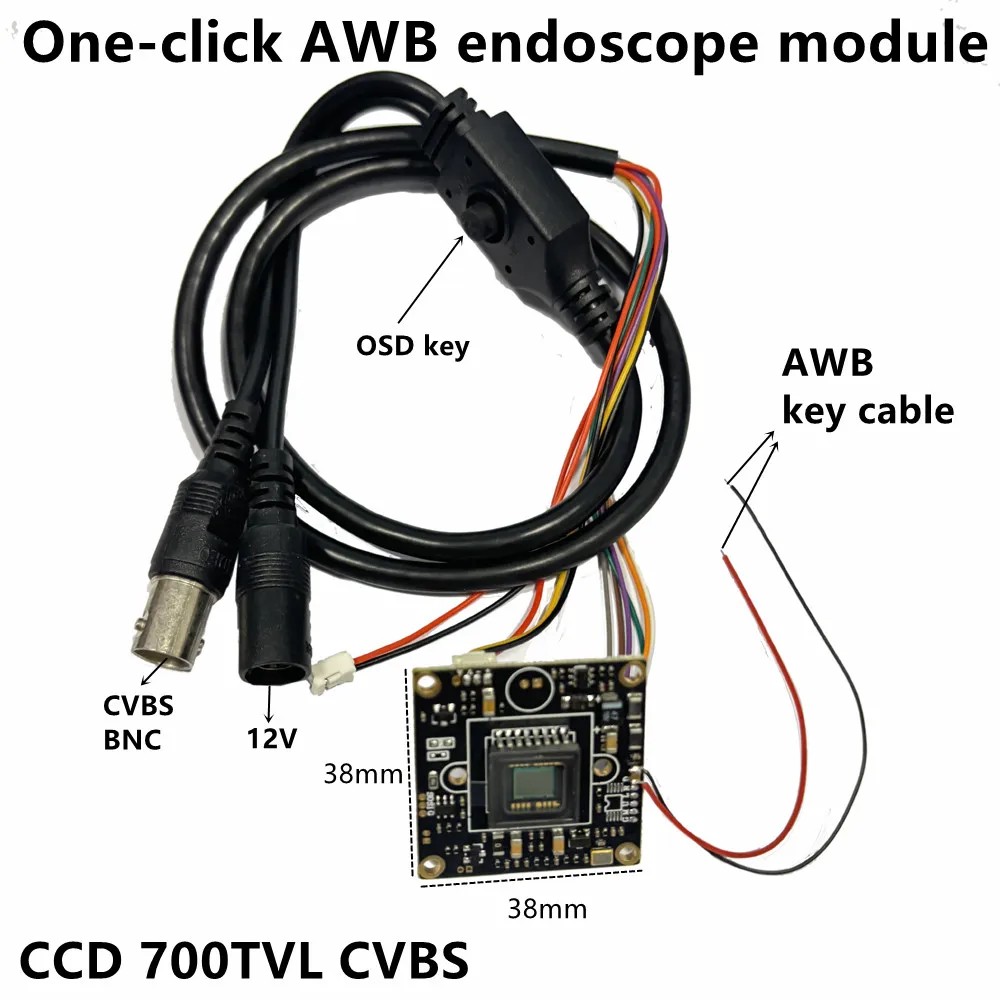 Jual One-click AWB Endoscope Module PCB 700TVL CCD Color Camera Module ...