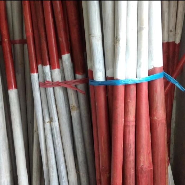 Jual (Expert) Tongkat Bambu Pramuka Toya Penggalang Panjang 160cm ...