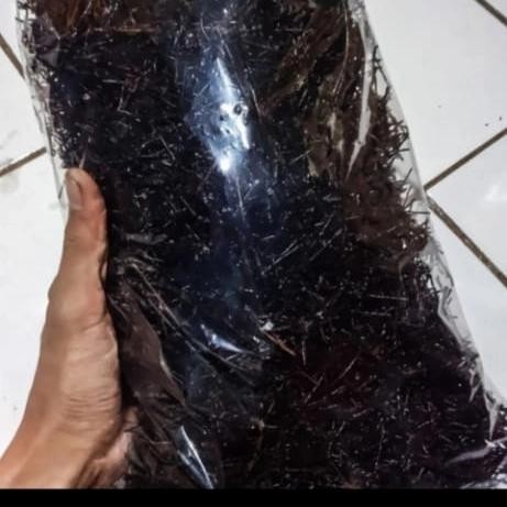 Jual media tanam pakis cacah fermentasi 1kg | Shopee Indonesia