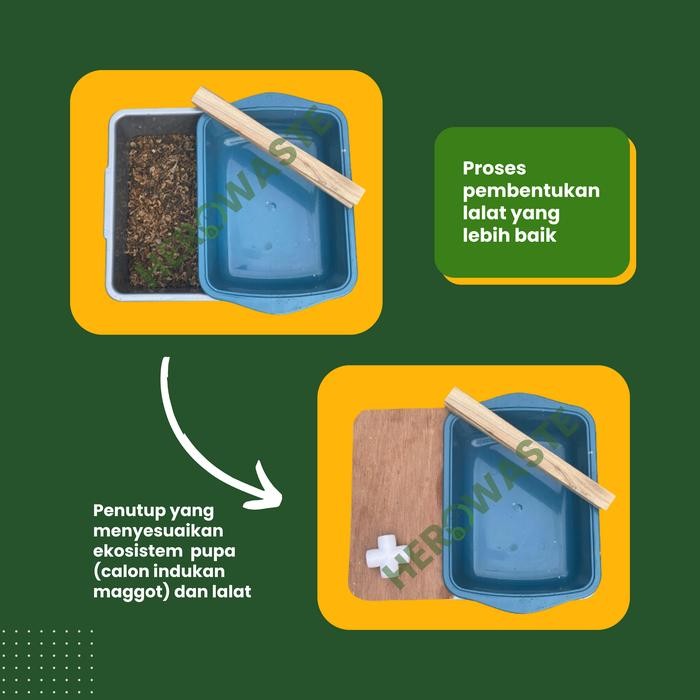 Jual Paket Kandang Lalat/Insectarium/Jaring Maggot BSF 50x50x100cm ...