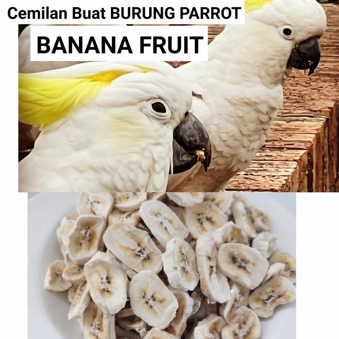 Jual Pisang Kering Dan Lombok Kering Untuk Burung Parrot | Shopee Indonesia