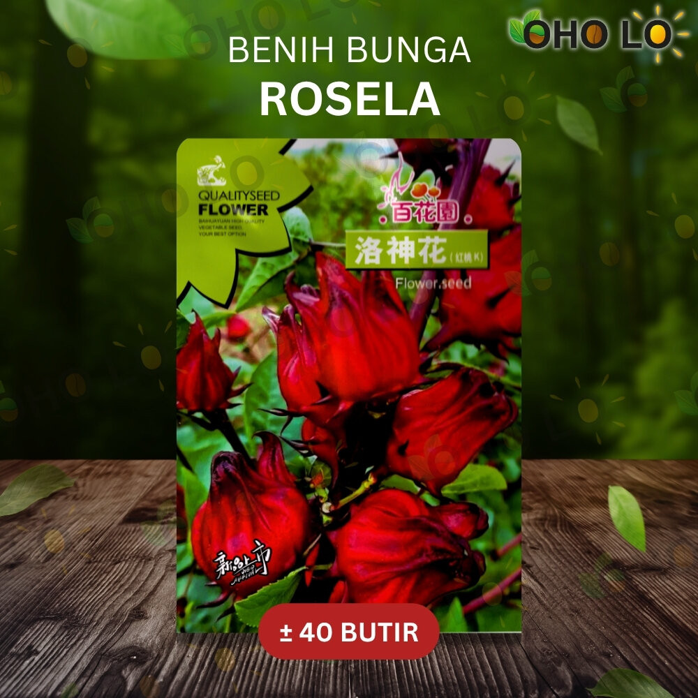 Jual ± 40 BUTIR BENIH BUNGA ROSELA / TEA IMPORT KEMASAN ORIGINAL PABRIK ...