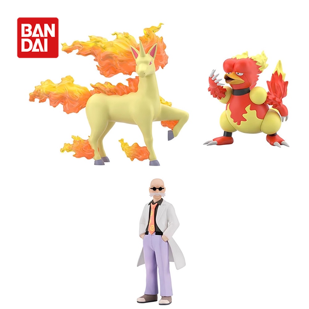 Jual KYOMA Original Bandai Scale World Pokemon Katsura Gallop Boober ...