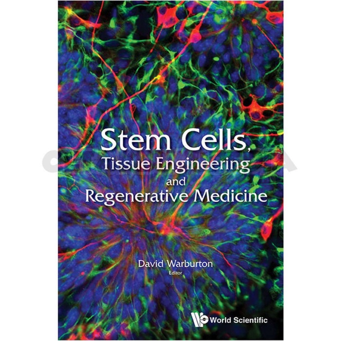 Jual Stem Cells, Tissue Engineering Regenerative Medicine Softcover ...