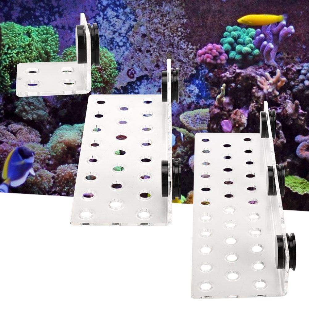 Jual Acrylic Coral Rack Aquarium Fish Coral Rack Bracket Acrylic Strong ...