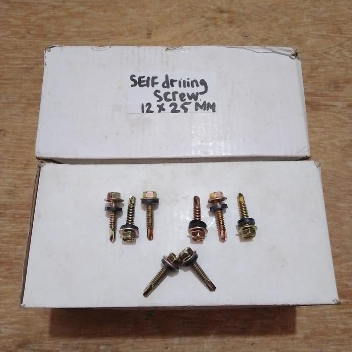 Jual Self Drilling Screw/Baut Spandek/Baut Roofing 12x25mm | Shopee ...