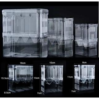 Jual Breeding Box Ikan Guppy Cupang Isolation Box karantina ikan hias ...