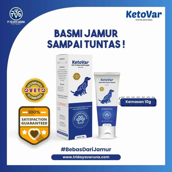 Jual KETOVAR Obat Salep Jar Ringworm Anjing Kucing Kelinci 10gr ...
