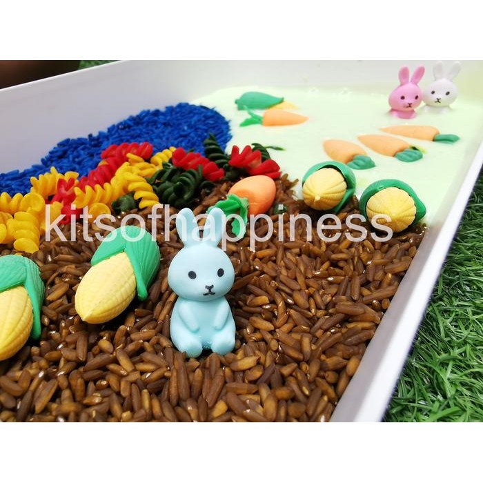 Jual Kidofunzone - Sensory Play Harvest O'Clock Montessori Sensory Bin ...