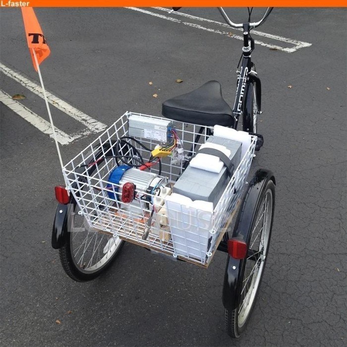 Jual Dinamo Motor Listrik Dc 48V 800/1000/1200W Listrik Roda Tiga ...