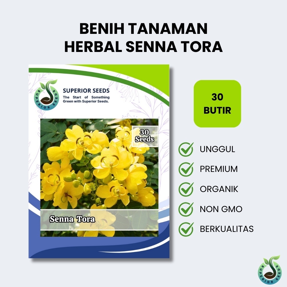 Jual Biji Benih Tanaman Herbal Senna Tora (Superior Seeds) | Shopee ...