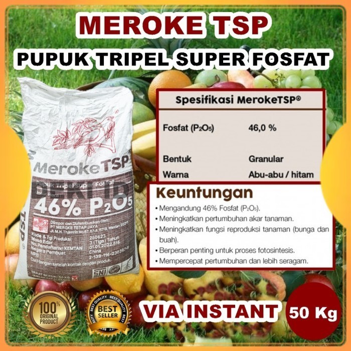 Jual TSP Meroke 46% 50 Kg via Instant Pupuk Pospat Penguat Akar Tanaman | Shopee Indonesia