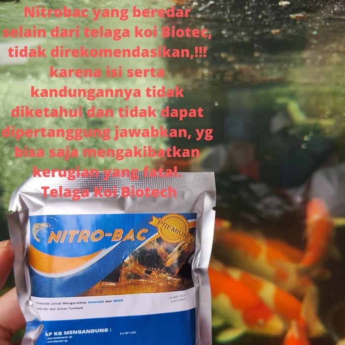 Jual Pawretty- Probiotik Bakteri Bacteri Starter Nitrobacter ...