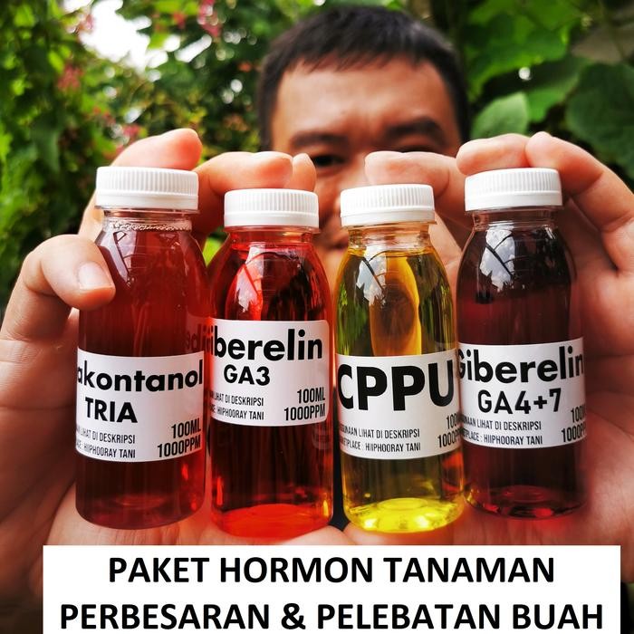 Jual Paket Hormon Pembesaran dan Pelebatan Buah TRIA GA3 CPPU GA4+7 400ml Kode 588 | Shopee ...