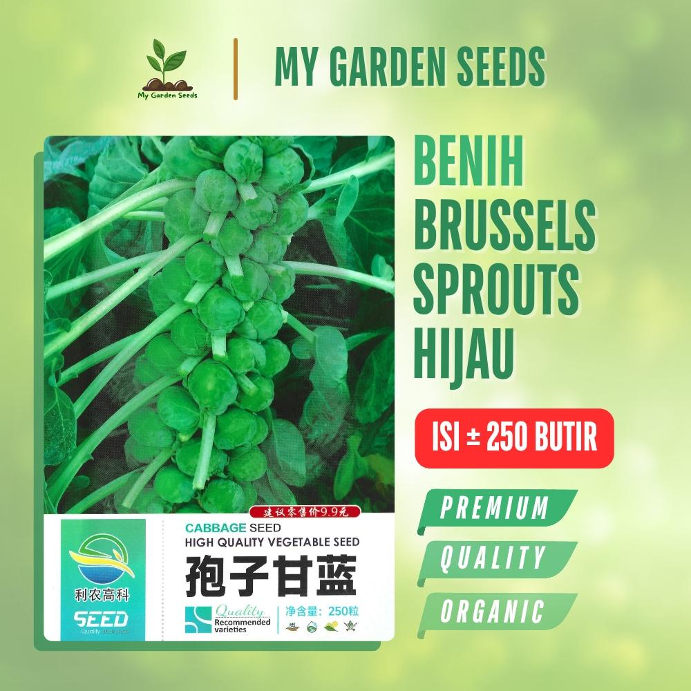 Jual BENIH BRUSSELS SPROUTS / KUBIS MINI HIJAU / BRUSSEL KEMASAN IMPORT ...