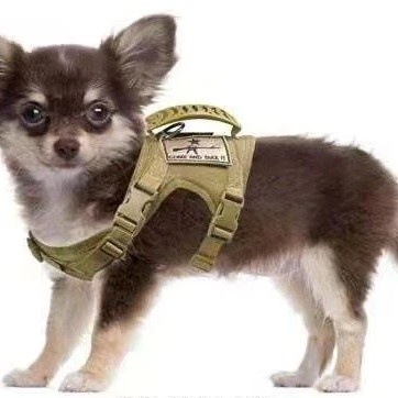 Jual HARNESS PREMIUM UNTUK ANABUL KECIL - SEDAMG | Shopee Indonesia