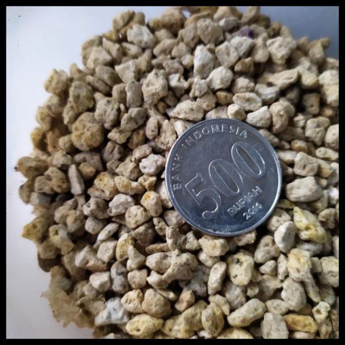 Jual JTTOP" MEDIA TANAM PUMICE/BATU APUNG 1KG | Shopee Indonesia