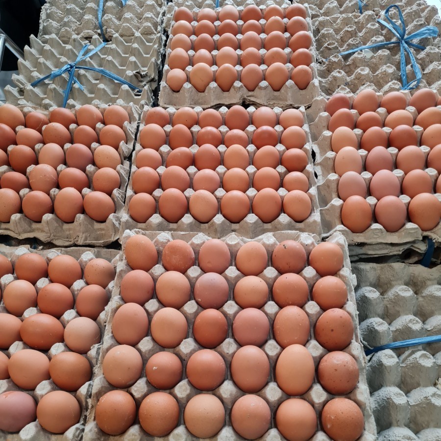 Jual HarvestMoon Telur Ayam Negri 30 Butir | Shopee Indonesia