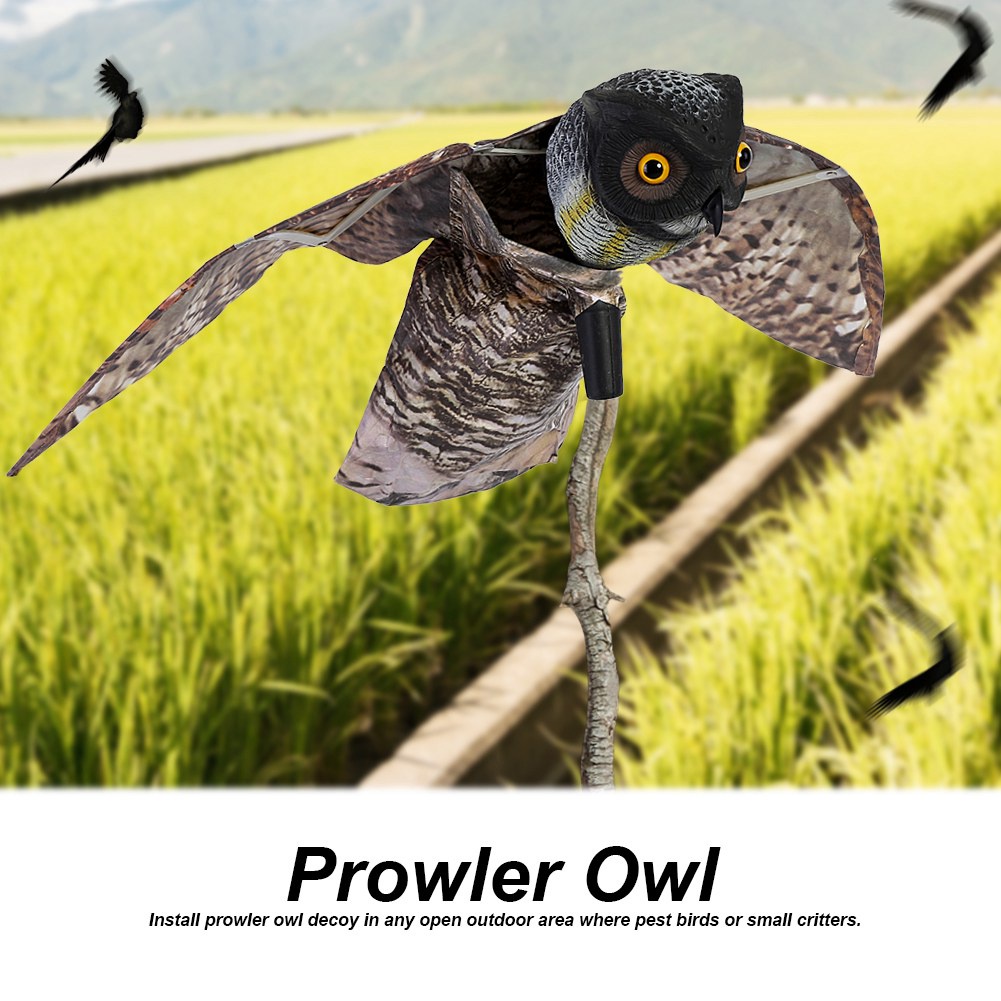 Jual Prowler Owl with Moving Wing Garden Scarecrow Predator Decoy Pest ...