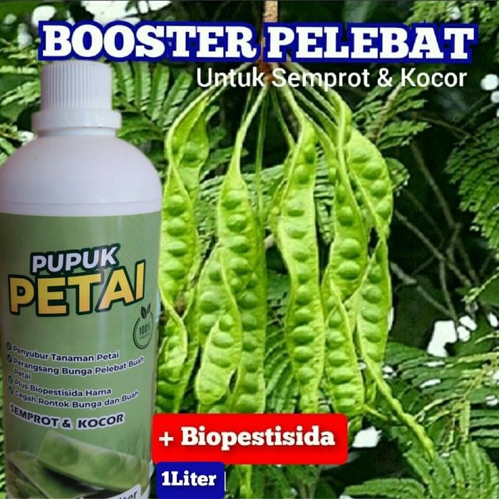 Jual Pupuk Organik Pelebat Petai Pete Perangsang Buah 1Liter Penyubur Tanaman Booster Pelebat ...