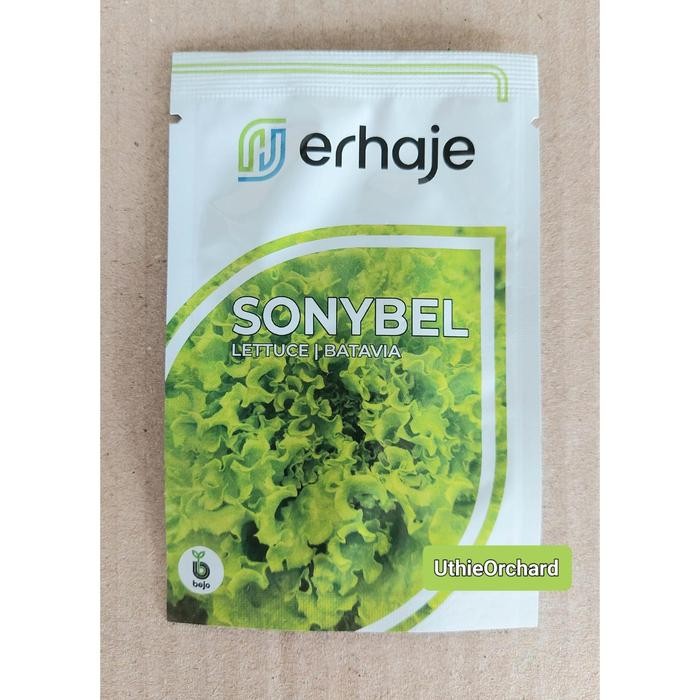 Jual Terlaris Benih Bejo Seed - Selada Batavia Sonybel Kemasan asli 1 ...
