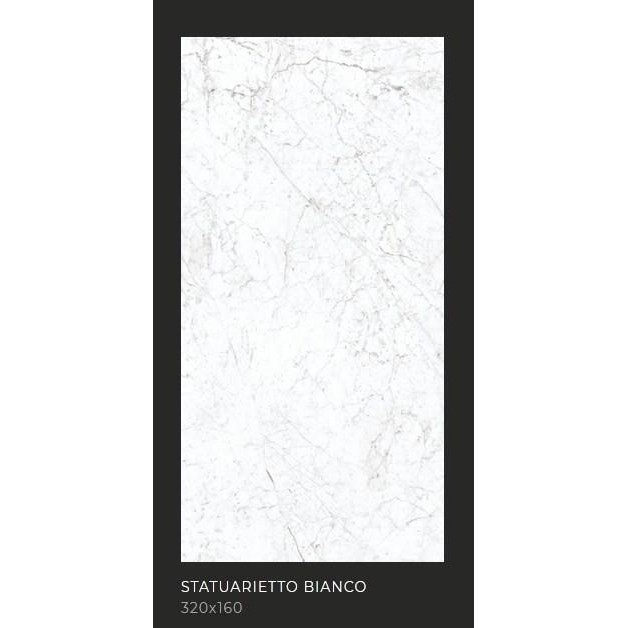 Jual GRANIT QUADRA BIG SLAB Statuarietto Bianco 320x160 | Shopee Indonesia