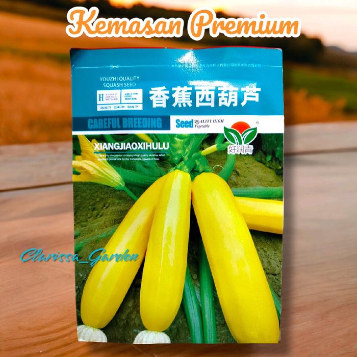 Jual (KEMASAN PREMIUM) BIJI/BENIH ZUCCHINI/ZUKINI KUNING | Shopee Indonesia
