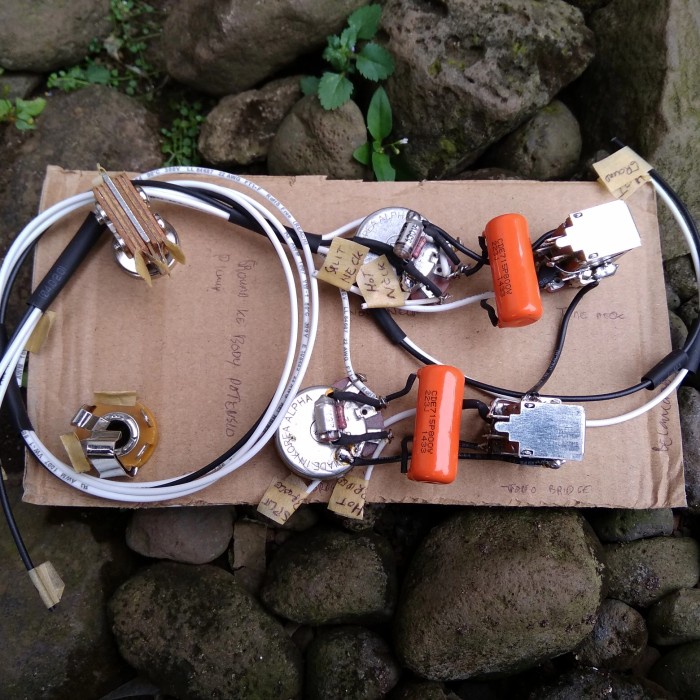 Jual Wiring Gitar Les Paul 50s Gibson Epiphone With Push Pull Treble ...