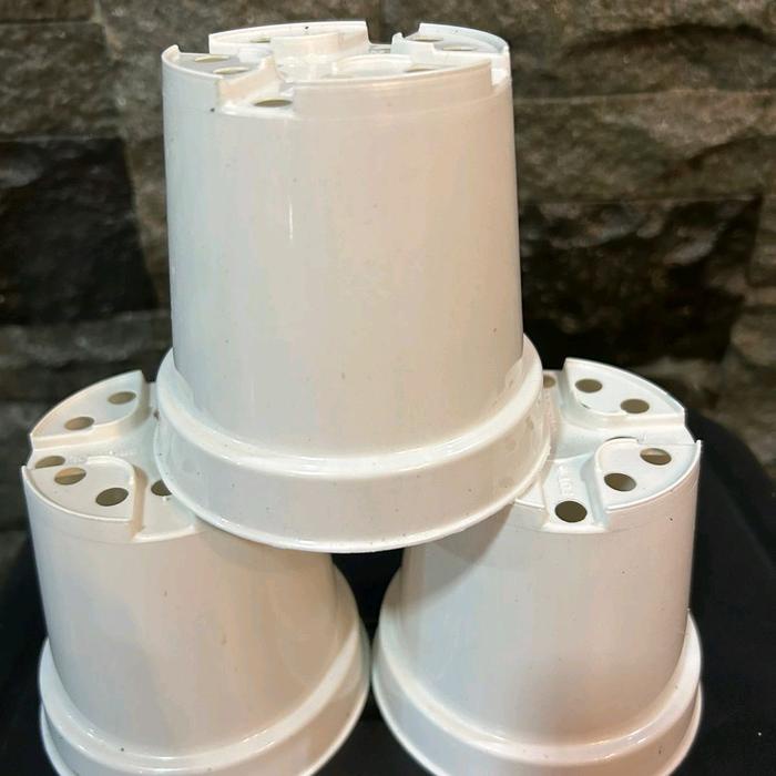 Jual Pot Putih Ukuran 12Cm Untuk Jenis Kaktus Dan Secculent Tanaman ...