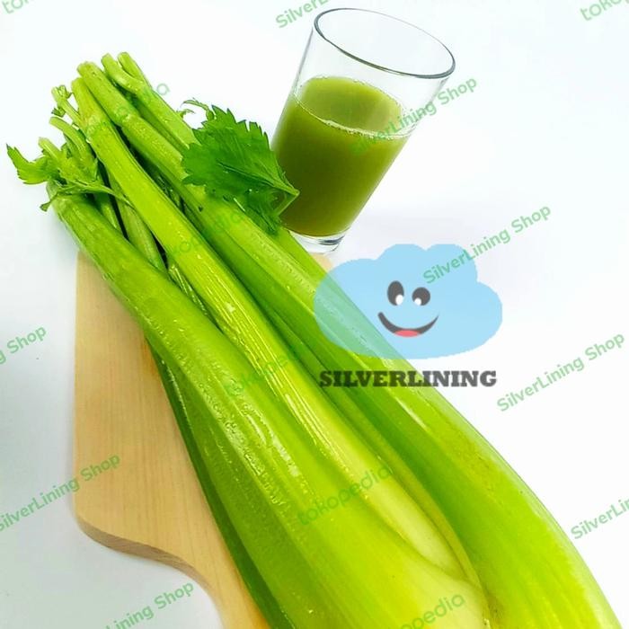 Jual BnyKBonusBelidiMari- CELERY IMPORT CHINA PREMIUM CELERY STICK ...