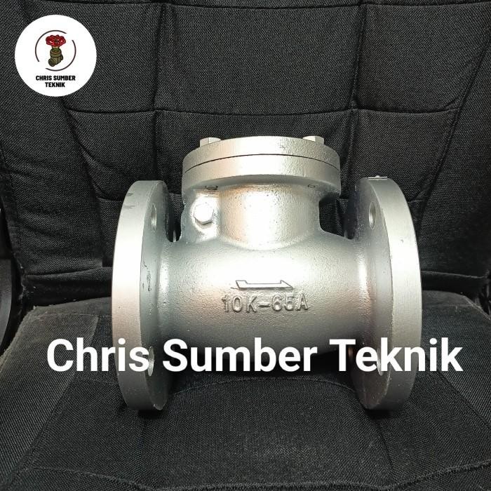 Jual Swing Check Valve 2 1/2" Inch DN65 JIS 10k Cast Iron / Check Valve ...