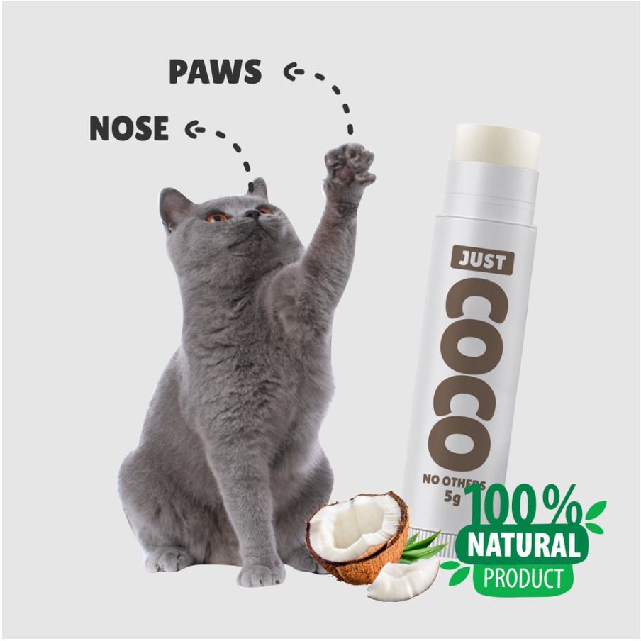 Jual Petglow Just Coco Nose & Paw Balm Untuk Kucing Anjing Atasi Jamur ...