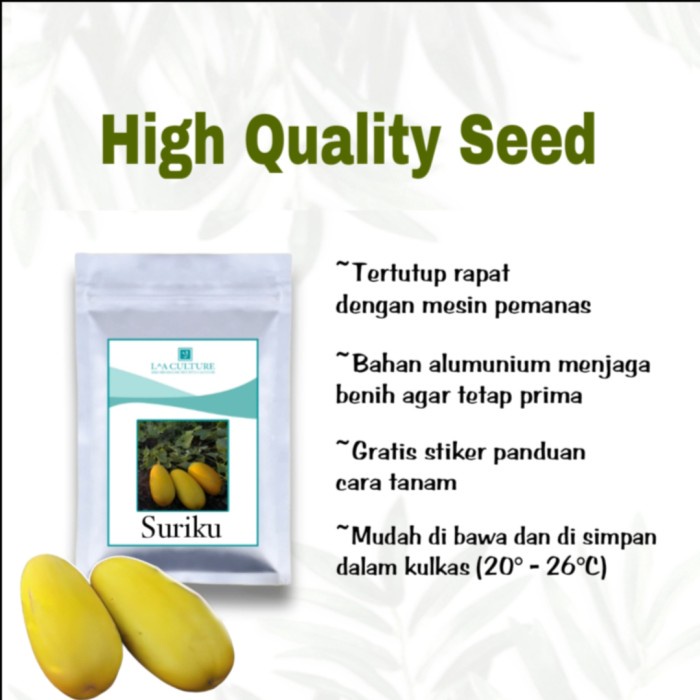 Jual BENIH TIMUN SURI SUPER UNGGUL SURIKU ISI 100 BIJI LA CULTURE | Shopee Indonesia