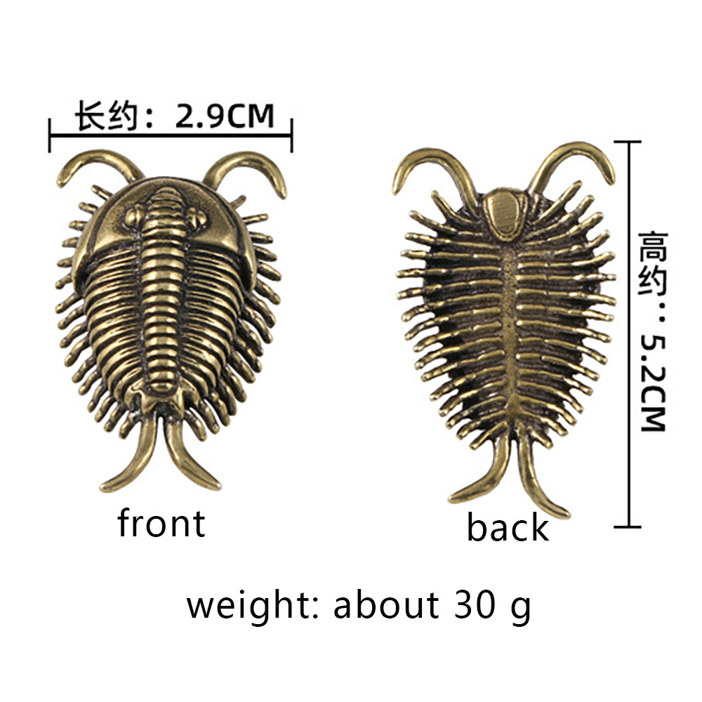 Jual Cambrian Trilobite Brass Desk Decoration Ancient Insect Metal ...