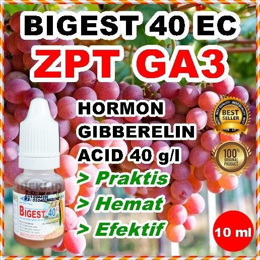 Jual Bigest 40 EC 10 ml GA3 Hormon Giberelin Acid ZPT Biggest Tanaman ...