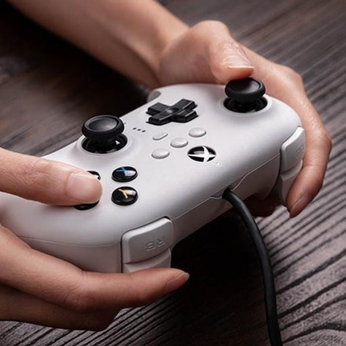 Jual 8Bitdo Ultimate Wired Controller Gamepad Windows 10 Xbox Series X ...