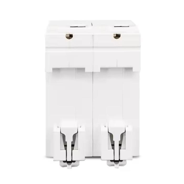 Jual Mcb Dc 125A 2P Circuit Breaker Inverter To Battery 2 Pole Plts ...