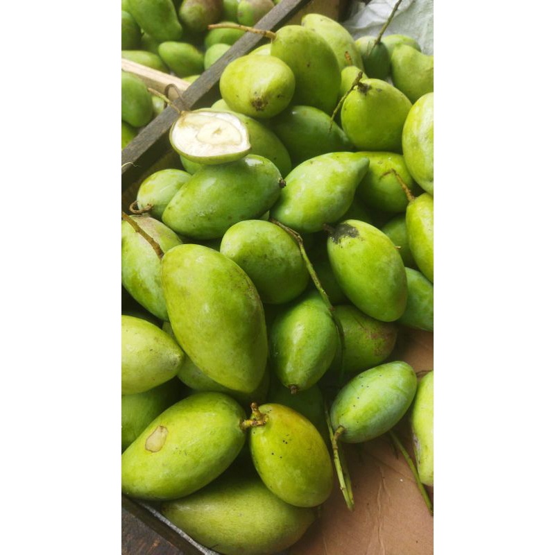 Jual mangga jamson /mangga belah biji / mangga muda / mangga rujak ...