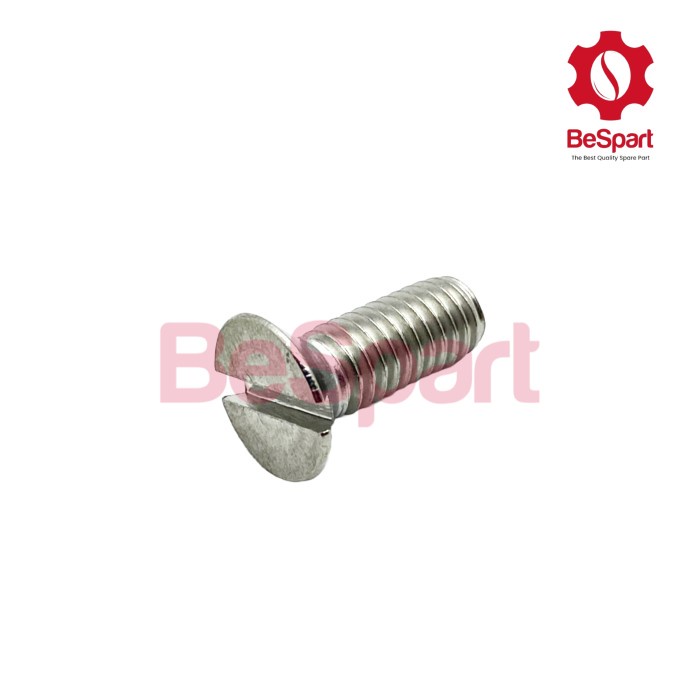 Jual JAYAmart- Baut Shower Screen Simonelli / Victoria Arduino M6 ...