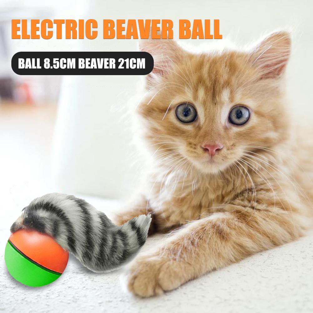 Jual Electric Beaver Weasel Rolling Ball Teeth Grinding Toys Random ...