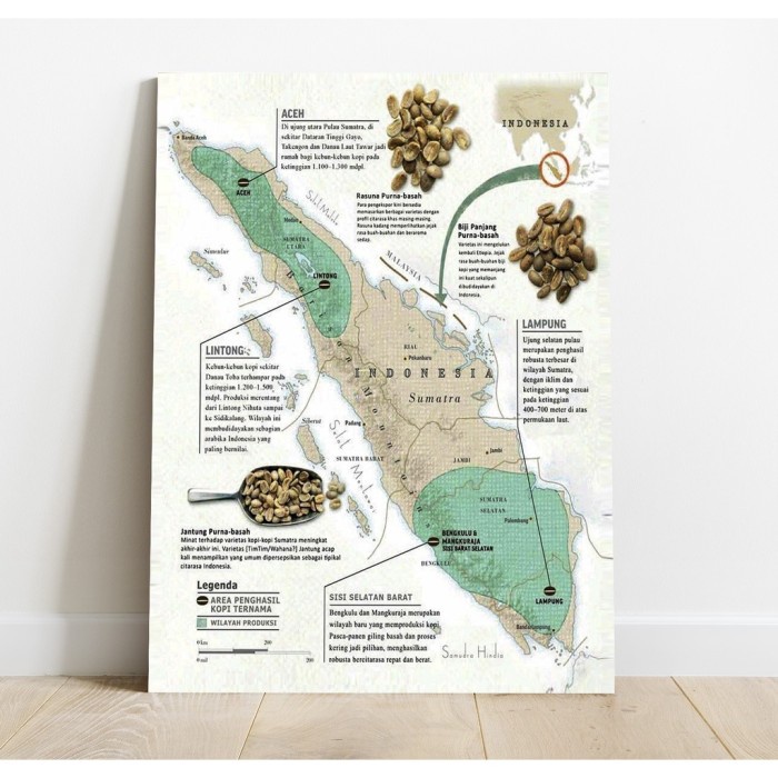 Jual New- Poster Peta Maps Penghasil Kopi Coffee Gayo Pajangan Hiasan ...
