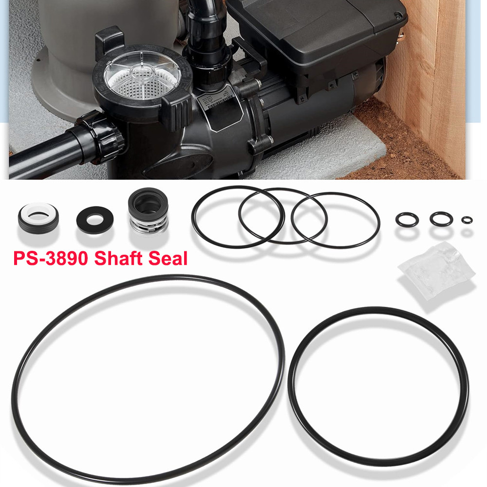 Jual SALE O-Ring Rebuild Repair Kit, for Jandy,Zodiac,FHPM Pool Pump ...