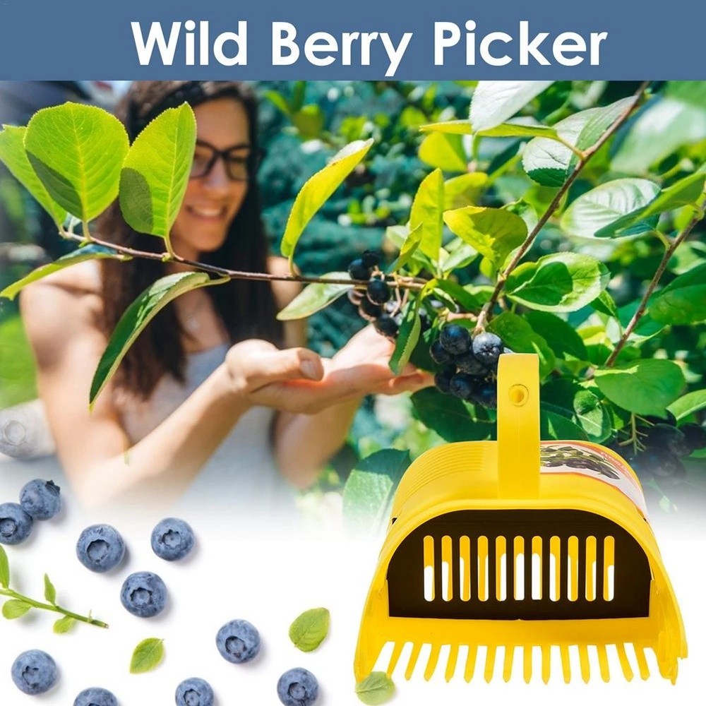 Jual Picker Orchard Fruit Picker Garden Tool Blueberry Picking Tool ...