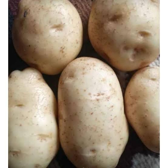 Jual BnyKBonusBelidiMari- kentang dieng jumbo 1 kg | Shopee Indonesia