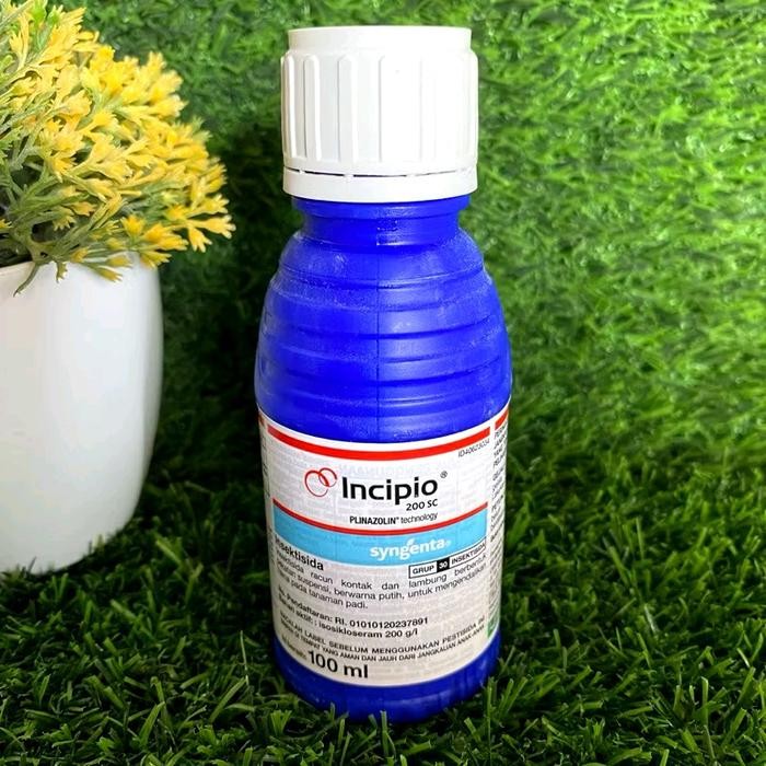 Jual Insektisida INCIPIO 200 SC (100ml) | Shopee Indonesia