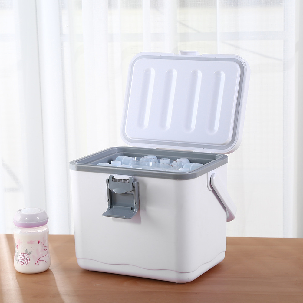 Jual 4.5L Insulated Portable Cooler with Handle Mini Freezer Fridge ...