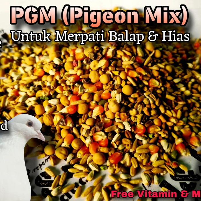 Jual J&J Pigeon Mix (Pgm) (5Kg) Pakan Merpati Balap, Pakan Merpati Hias ...