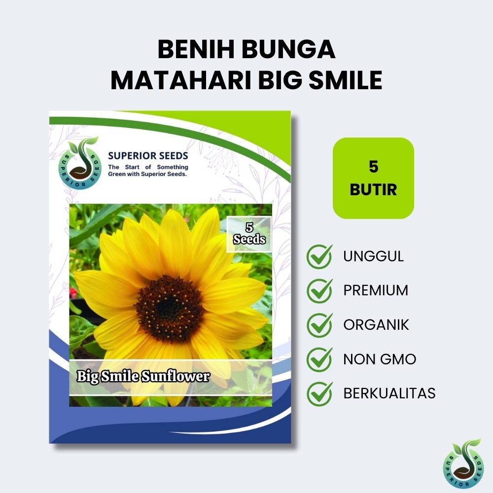 Jual Biji Benih Bunga Matahari Big Smile (Superior Seeds) | Shopee ...